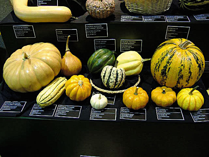 La Historia tiene sabor a Perú