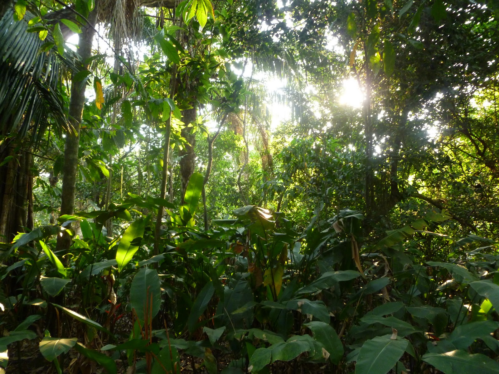 Life in a year full of Saturdays: Parque Ambue Ari - The 3:10 express ...