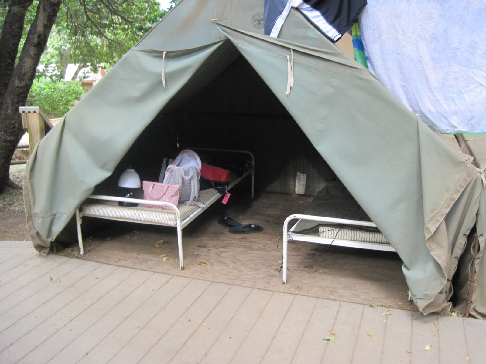 Mrs. Forgacs' 6th Grade: CIMI Trip