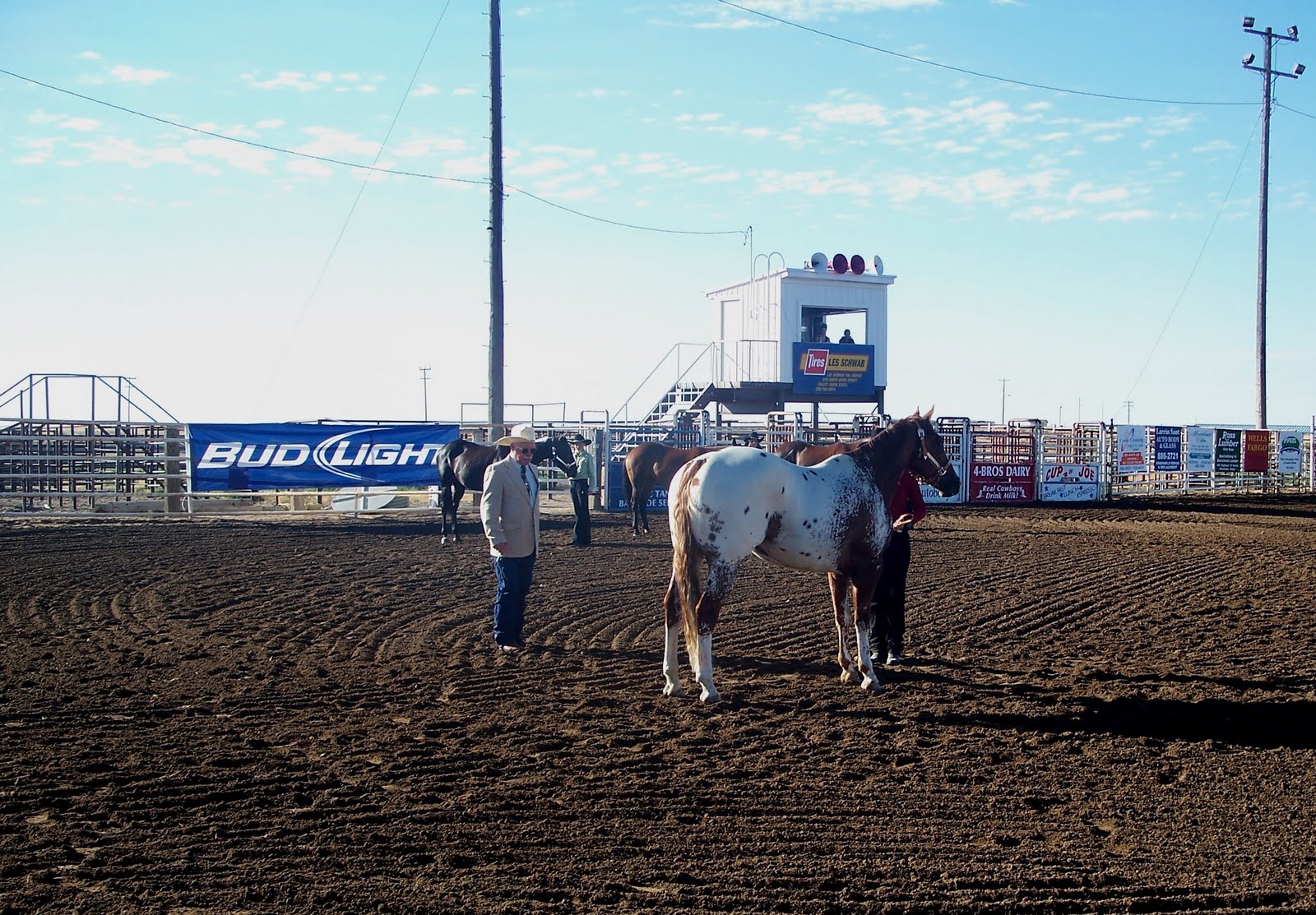 Blissfully Natural Cora: 2010 Gooding County Fair