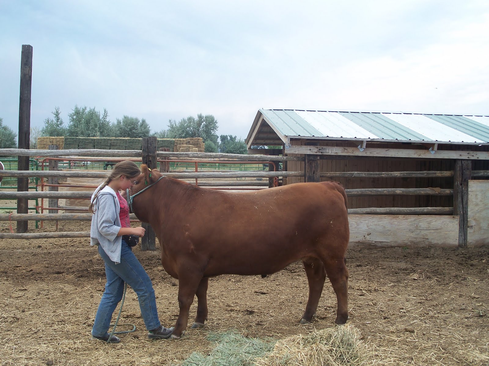 Blissfully Natural Cora: 2010 Gooding County Fair