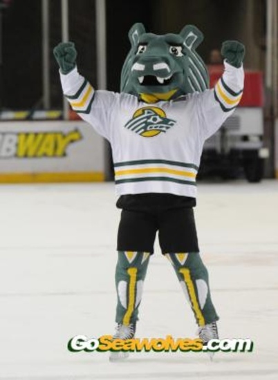 UAA Seawolves Hockey Fan Blog: Help Wanted: Skating Spirit The Seawolf