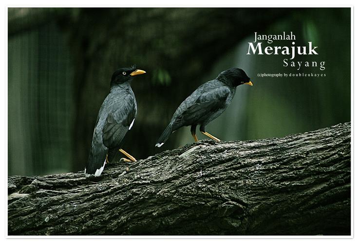 .laughing.syakila.: merajuk