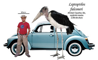 Palaeos, la historia de la Vida en la Tierra: 2010