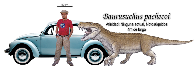 Palaeos, la historia de la Vida en la Tierra: enero 2011