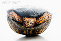 Confessions of a Disgruntled (ex)College Student: Confession: Backpacks ...