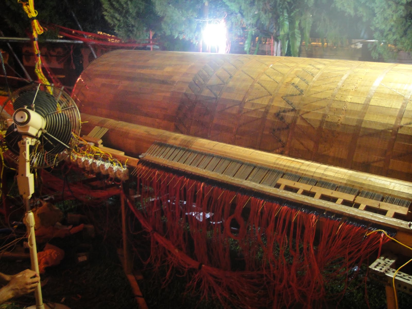 Ben In Brisbane: Thorana in BISDS