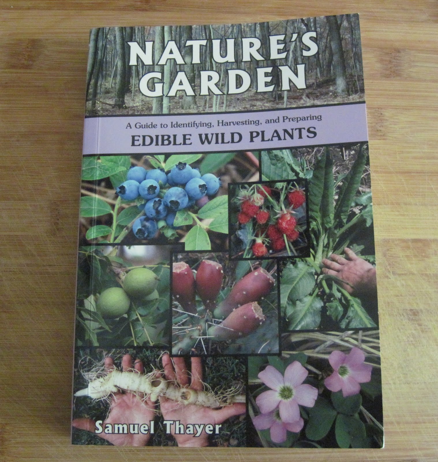 THE FOOD FREEDOM REVOLUTION: Taking Back Control Of Our Health: YES ...