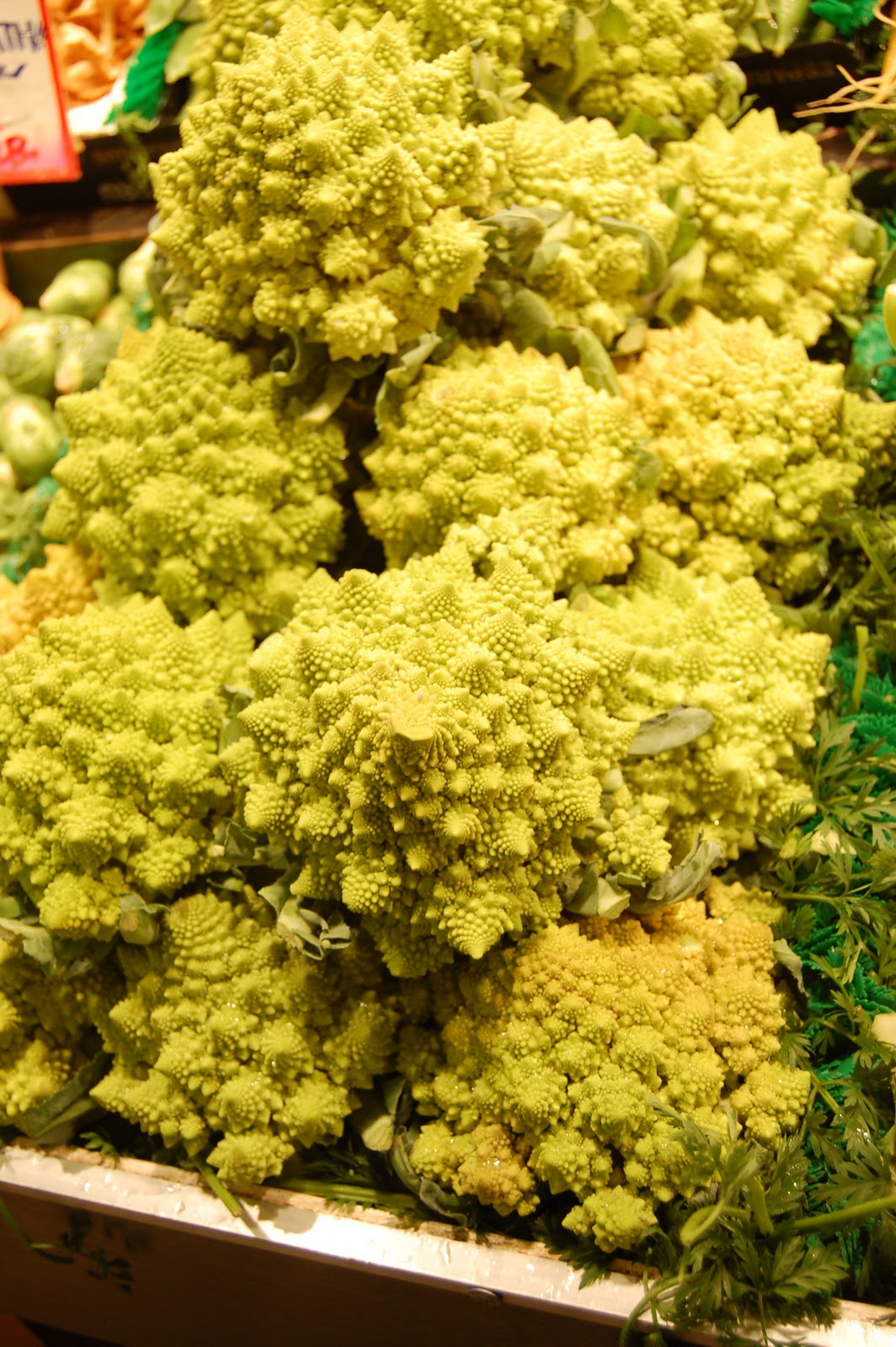 He's got my whole world in his hands.: Birthday: Seattle Trip Highlights