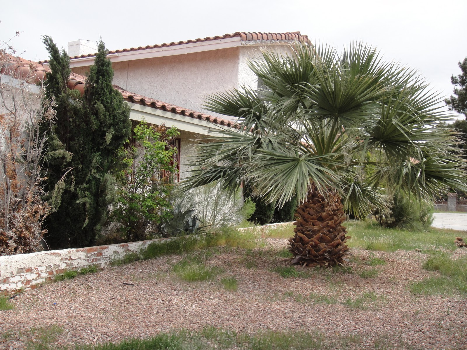 The Lisa Lane Project