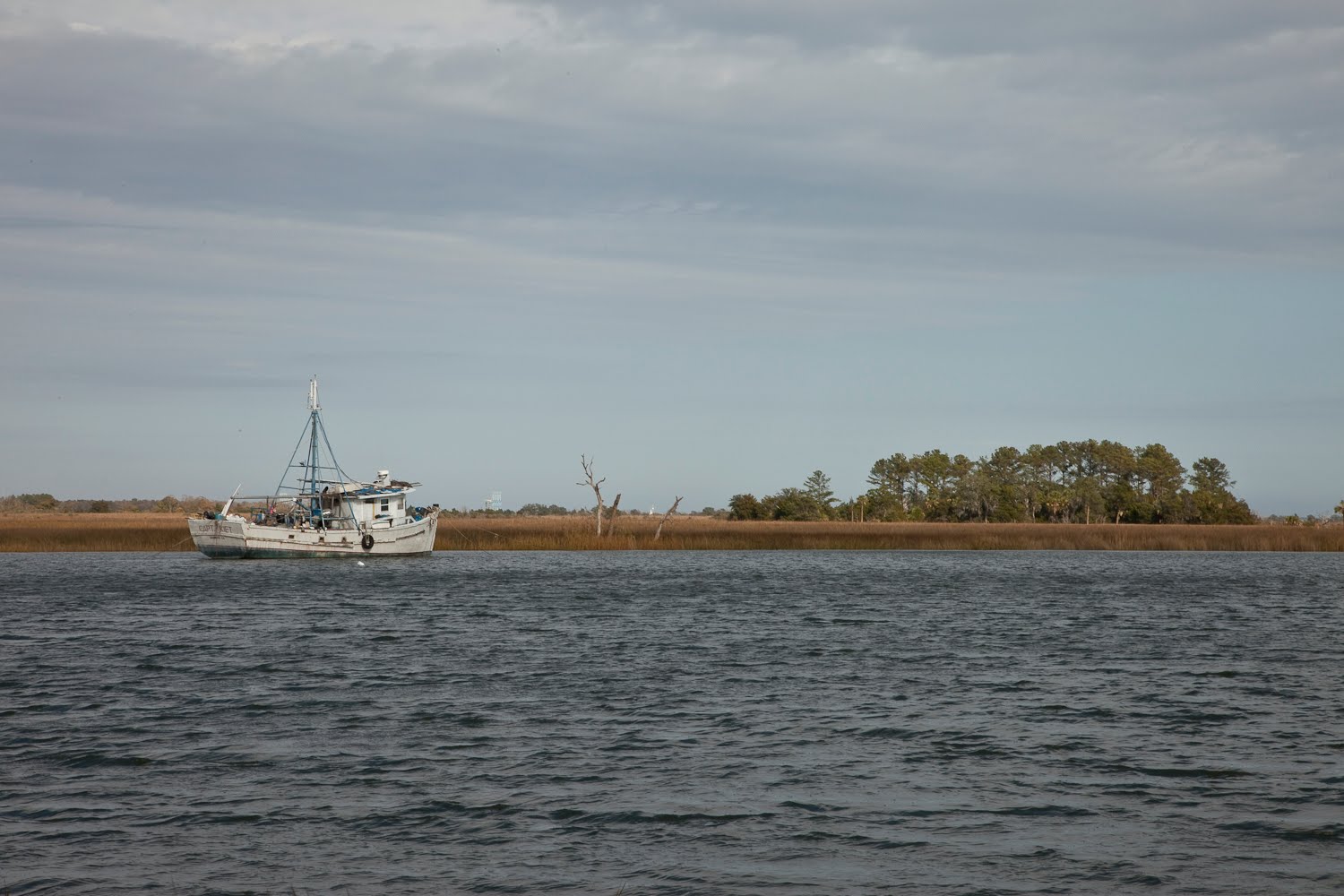 Kelly Joy Morrill: Savannah, Georgia