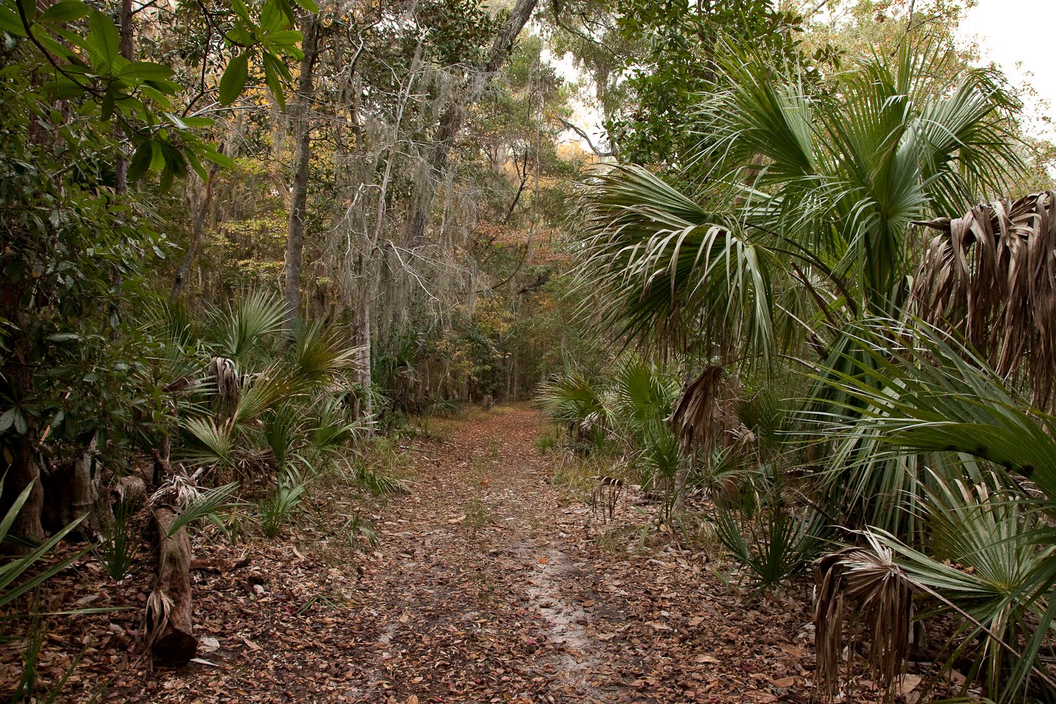 Kelly Joy Morrill: Savannah, Georgia