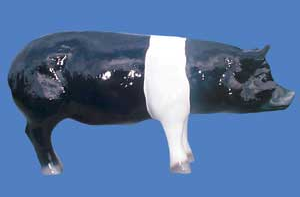 Big Pig Chronicles: Fiberglass pig statue