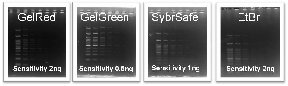 MaestroGen Information Station: MaestroGen UltraSlim - Smallest gel ...