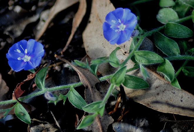 Back of Beyond The NT: Western Arnhem Land