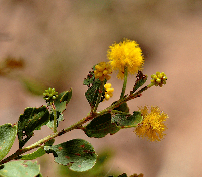 Back of Beyond The NT: Journey South-West/Purnululu National Park Part I