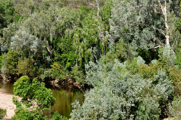 Back of Beyond The NT: Gimbat District/ SouthWest Kakadu Part II