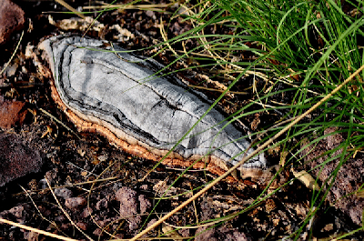 Back of Beyond The NT: Gimbat District/ SouthWest Kakadu Part I