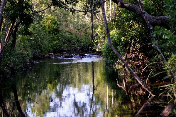 Back of Beyond The NT: Walker Creek Litchfield National Park