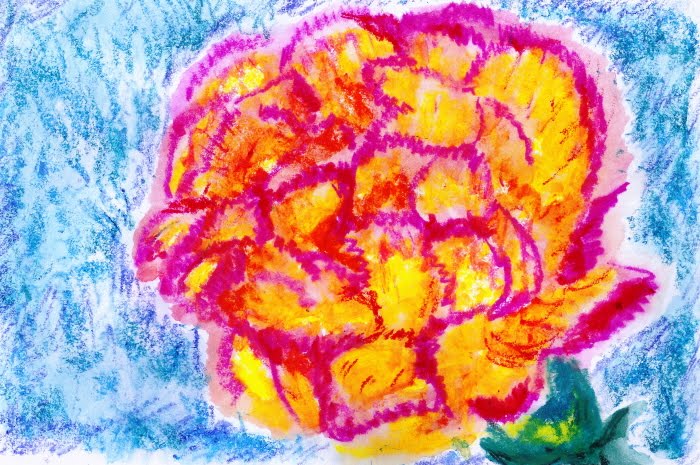 fuzzy realism - a new art style: fuzzy carnation
