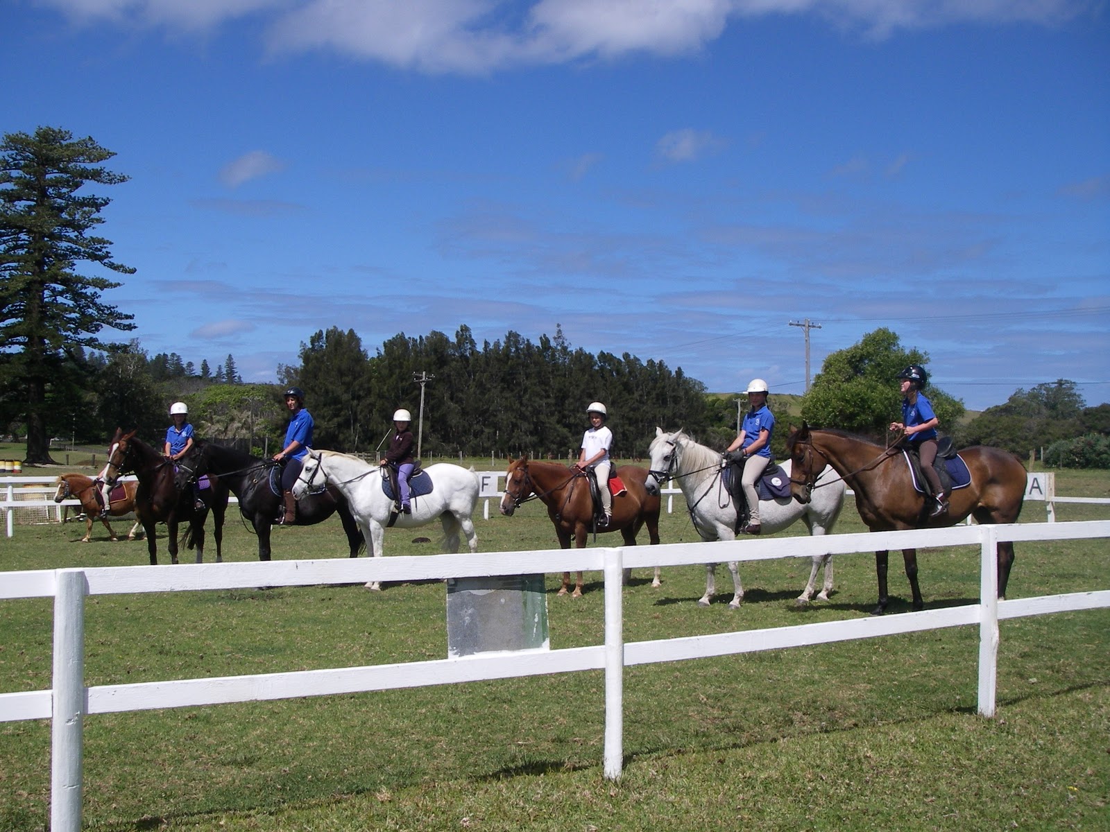 Norfolk Island Pony Club & Equestrian Association: 2005 Pony Club Rally