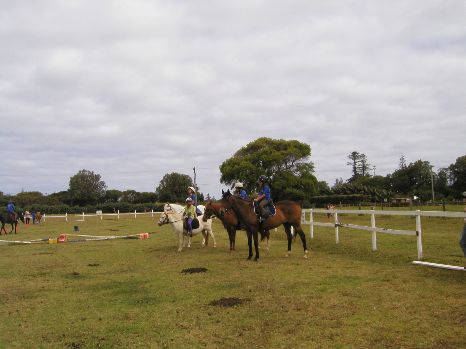 Norfolk Island Pony Club & Equestrian Association: 2005 Another Pony ...