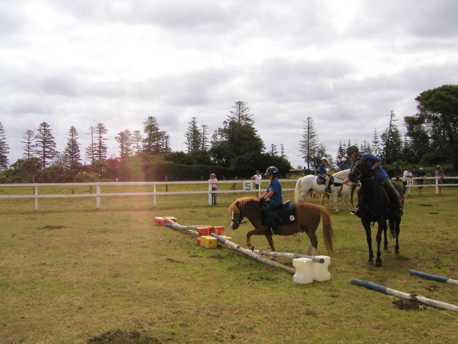 Norfolk Island Pony Club & Equestrian Association: 2005 Another Pony ...