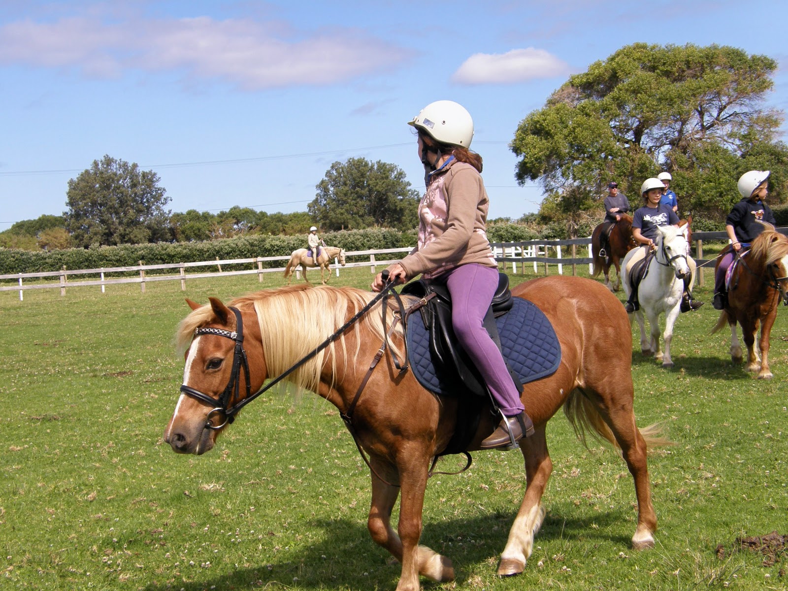 Norfolk Island Pony Club & Equestrian Association: Oct 2008 Pony Club ...
