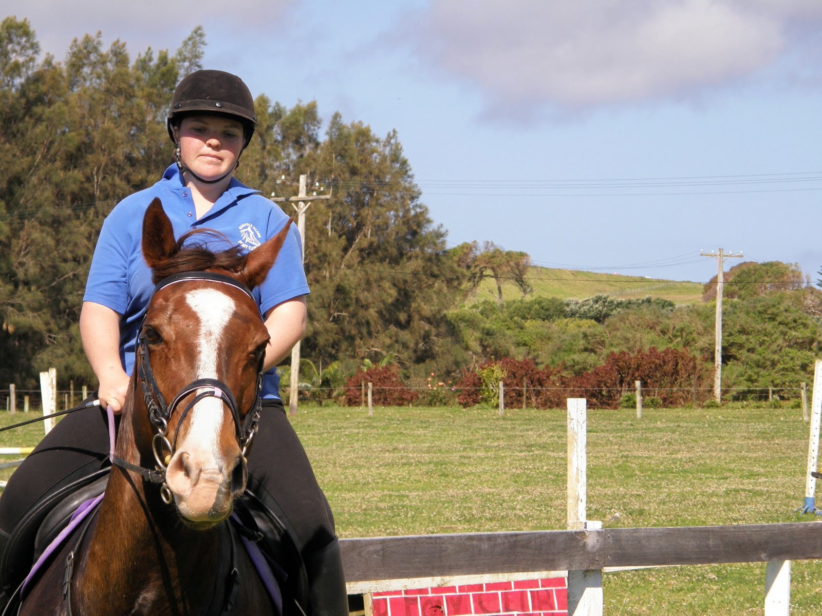 Norfolk Island Pony Club & Equestrian Association: Oct 2008 Pony Club ...