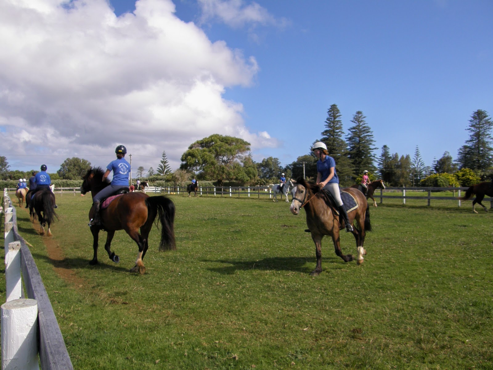 Norfolk Island Pony Club & Equestrian Association: Oct 2008 Pony Club ...