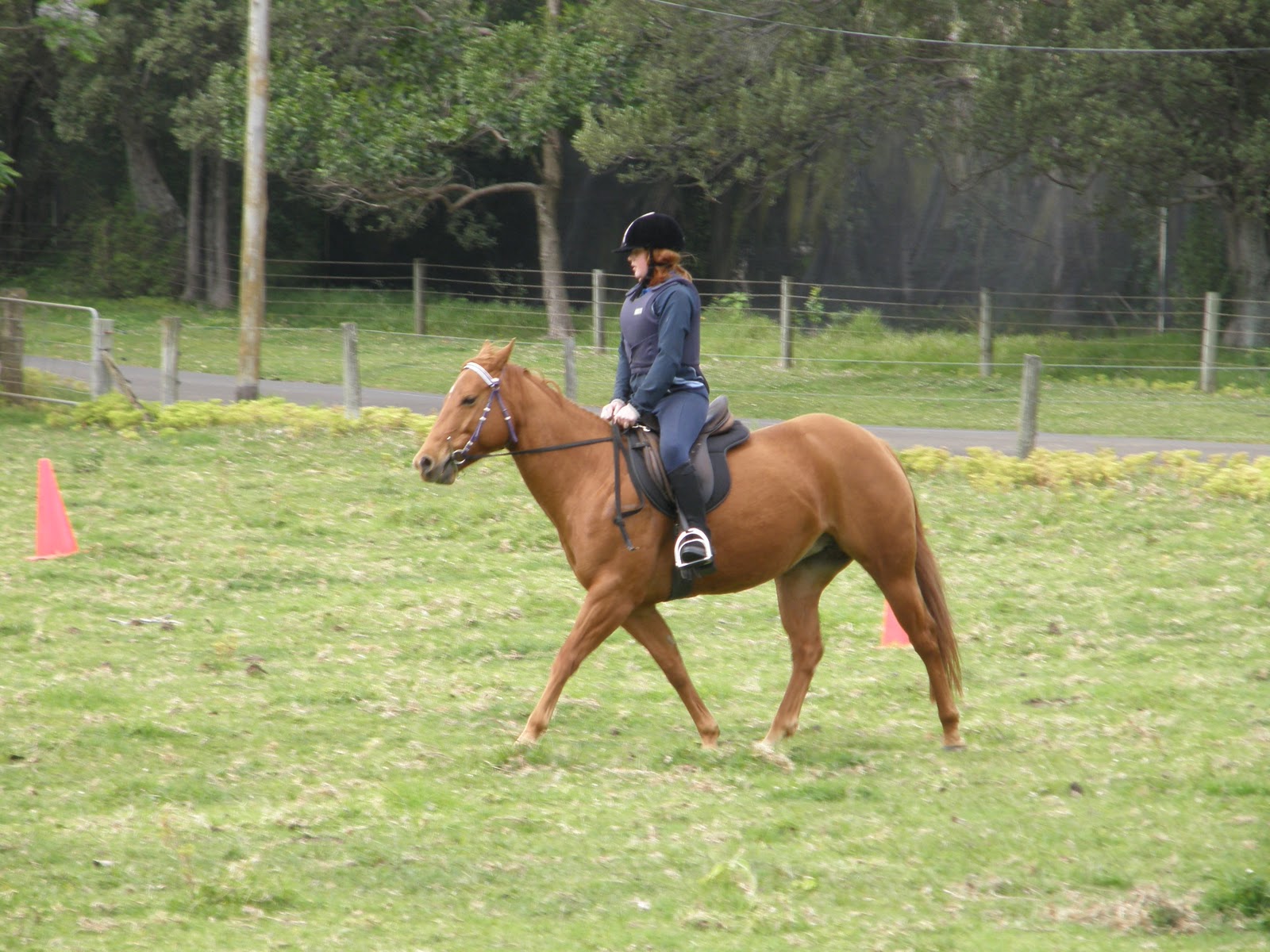Norfolk Island Pony Club & Equestrian Association: Sept 10 Pony Club ...
