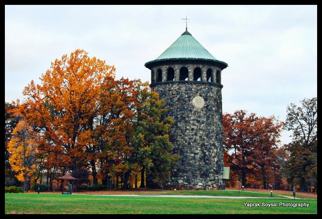 Yaprak Soysal Photography: Fall scenery around Wilmington - DE