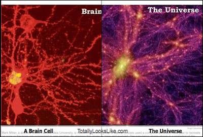 Laura's New World: Brain cell totally looks like the universe