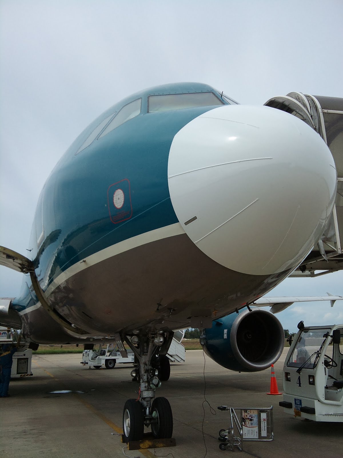 Flying China Man: Brand New Radome A320