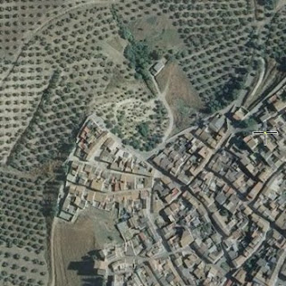 AMPHITHEATRUM: Julia Ucubi