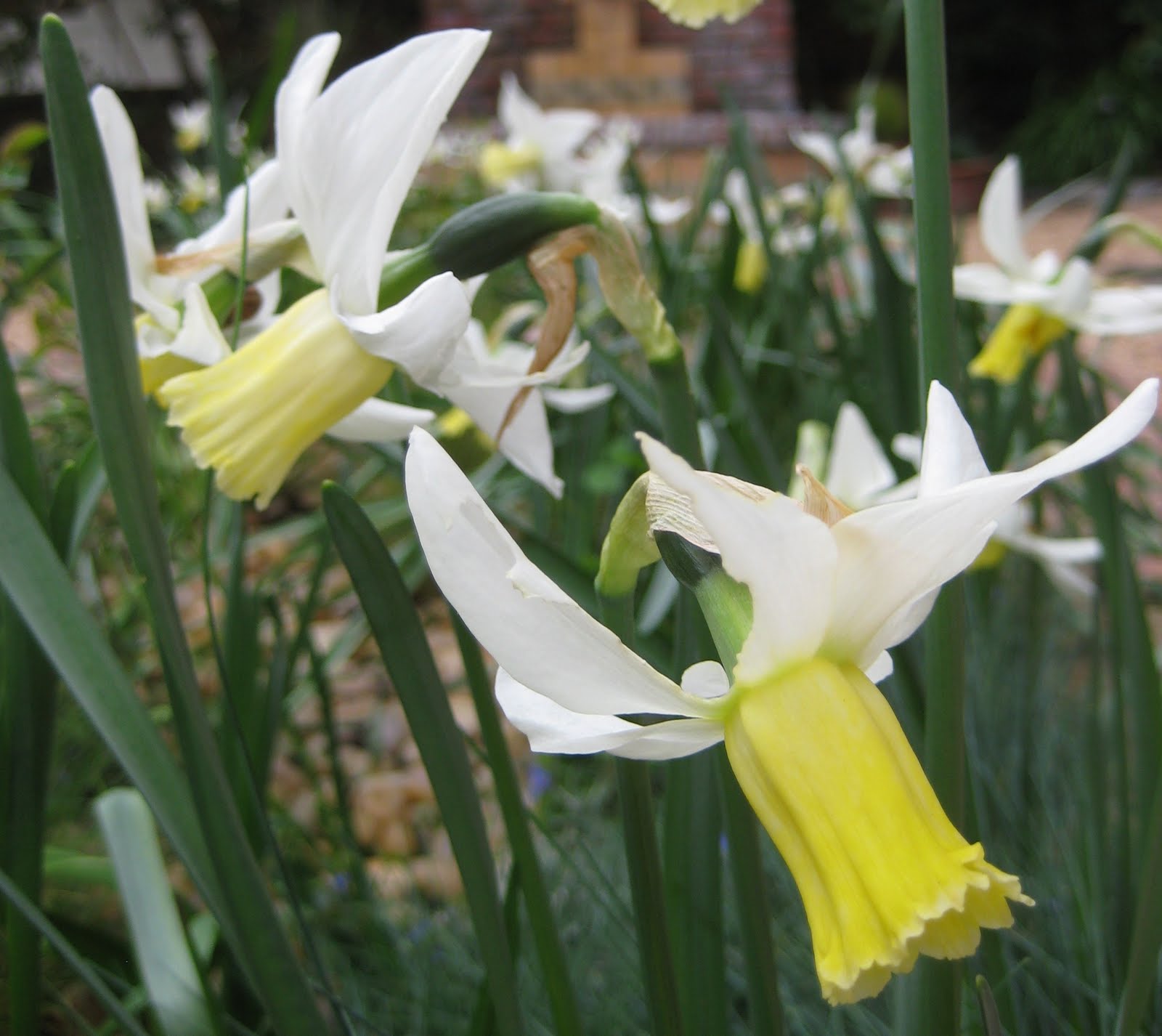 Idora Design: August 2010