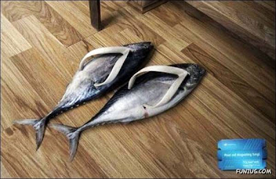 Most Funniest Shoes Pics | Funny Pictures