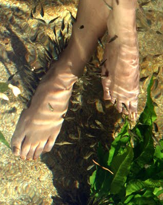 "Doctor Fish" Treatment "Ichthyotherapy" Photos Collection