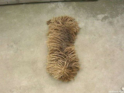 Strange Mop Look Like A Dog | Girl Tattoos Designs Gallery: Strange Mop ...