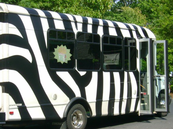 Amaze Pics & Vids: Amazing Zoo Buses - Photos...