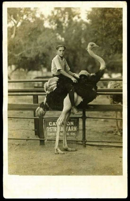 GADAPA SUBHASH's Web Log: Old Time Funny Photos (Part 2) - Rare Photo ...