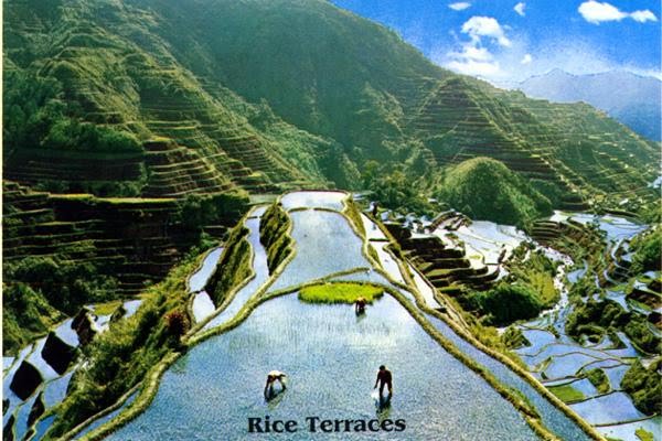 Amazing Rare Photos of White Terraces and Rice Terraces | ~Spicx~