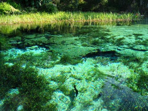 N.ELANGO: "Rainbow River" Worlds Colourful River - Florida, Photo ...