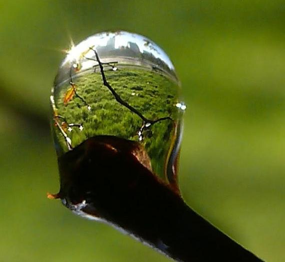 .: Beautiful Water Drops