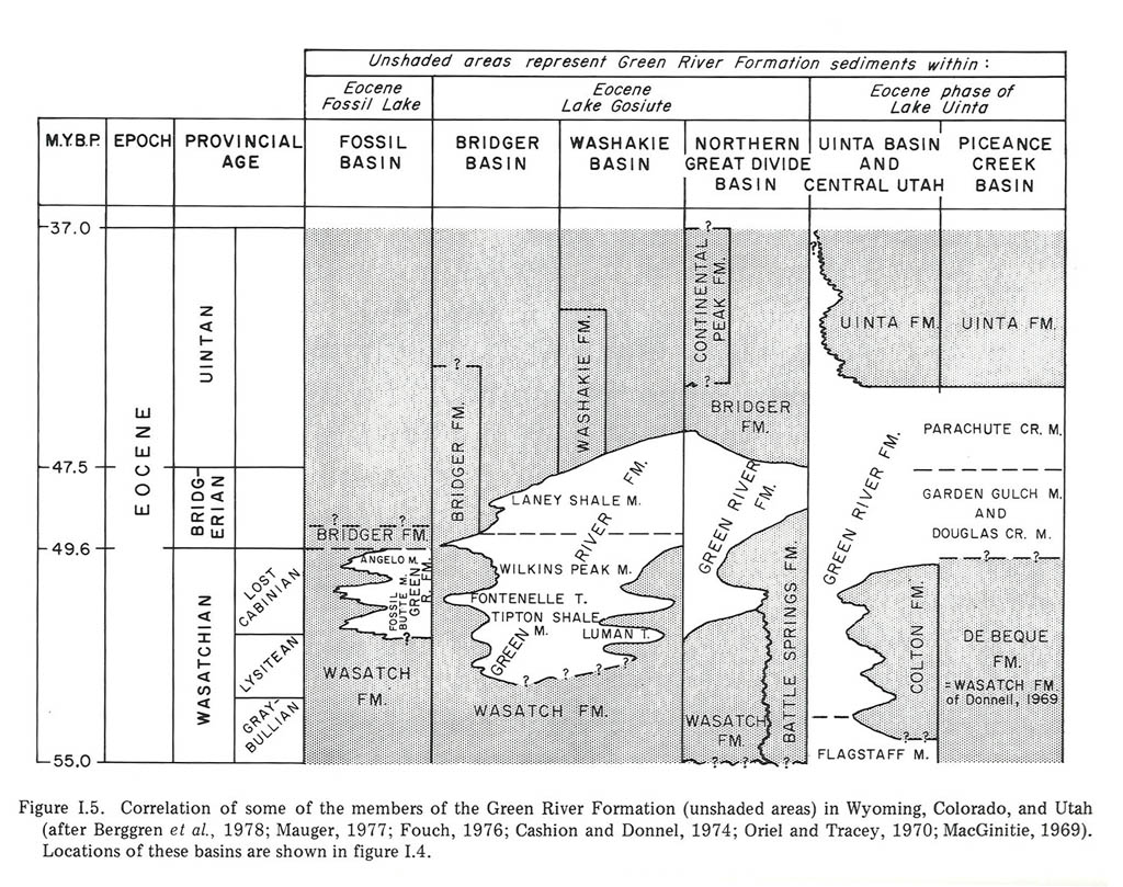 Views of the Mahantango: The Green River Formation