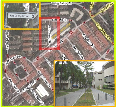 Tiong Bahru Estate: Tan Kim Ching (1829 - 1892)