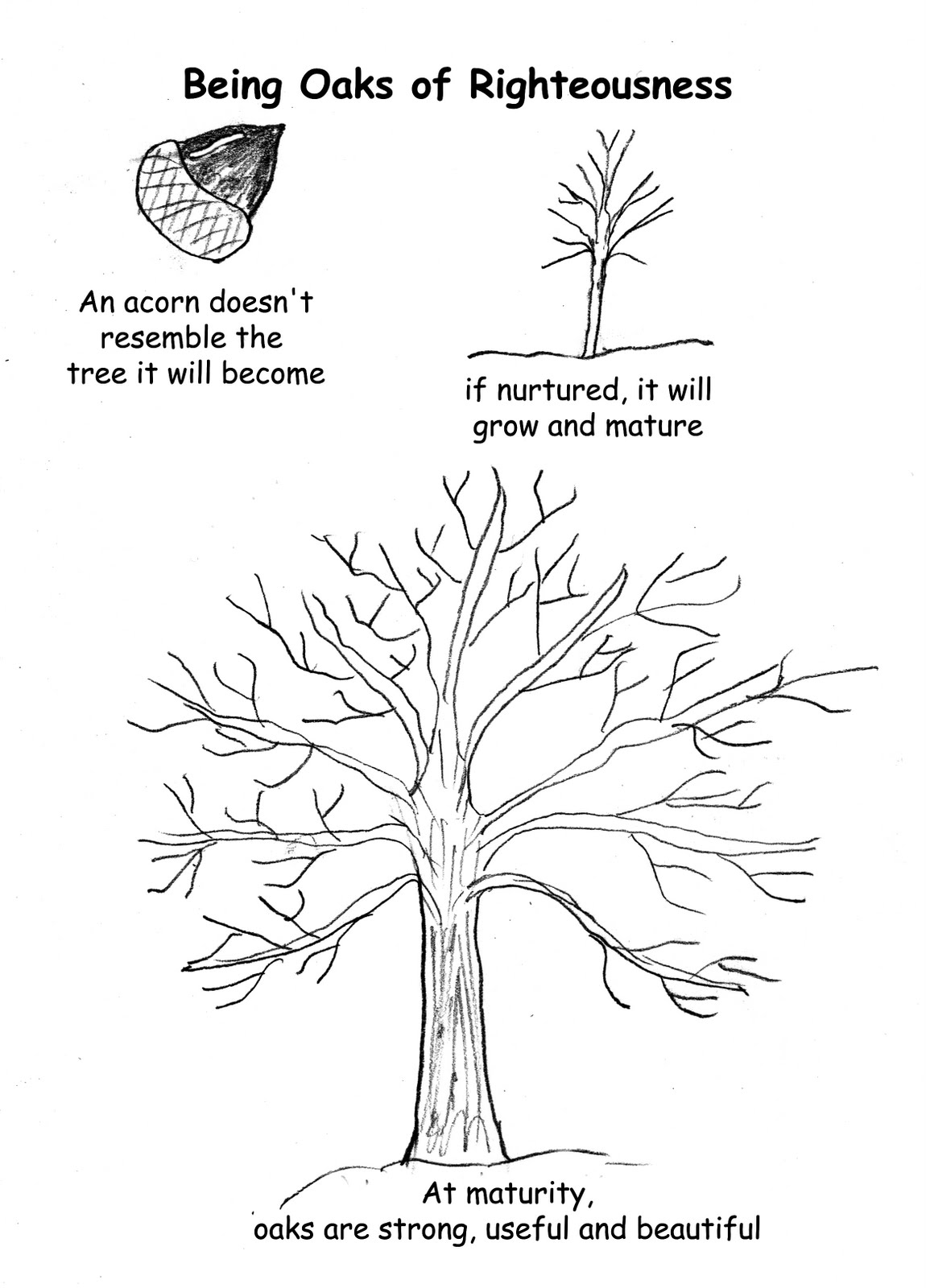 Getting To Know God: Being Oaks of Righteousness
