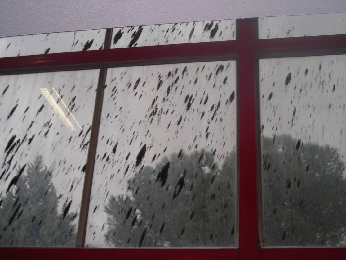 Investiga a través del entorno y exponlo: 4. Ventanas