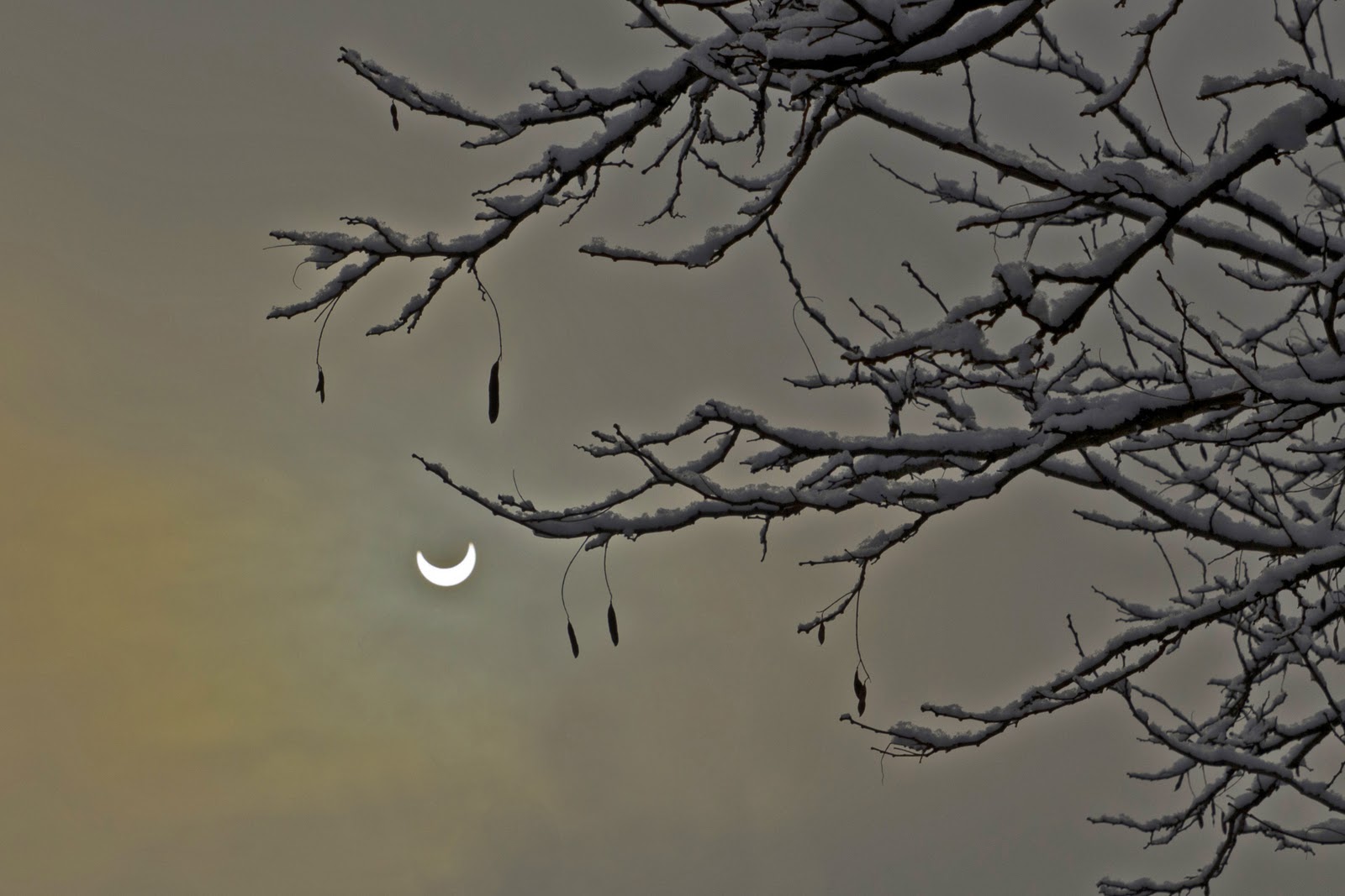 FancyPhotos: Eclipsa partiala de soare