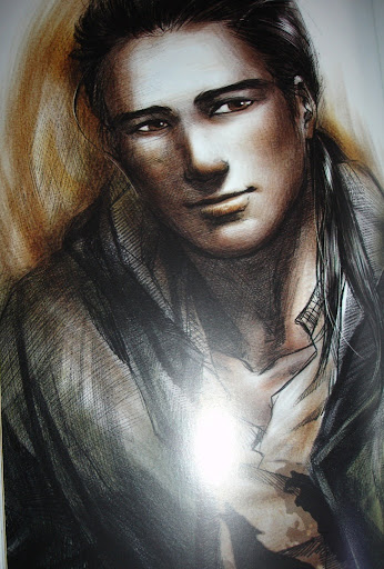 Sonho de Reflexão: Crepúsculo: Guia Oficial Ilustrado da Série ...